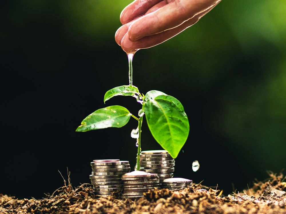 How can I reduce the number of funds in my portfolio? | Value Research