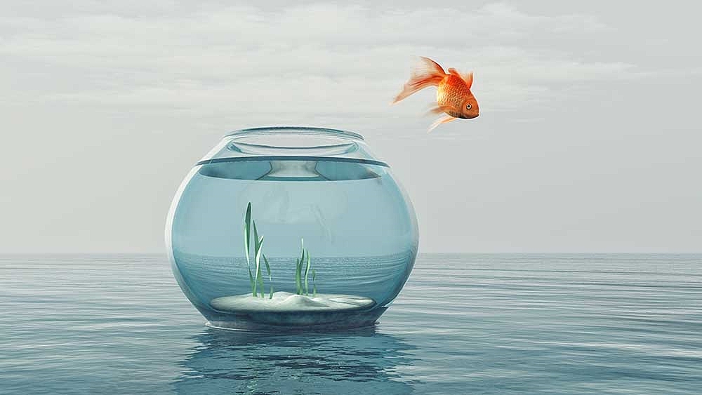 How to move your corpus to an equity fund? | Value Research