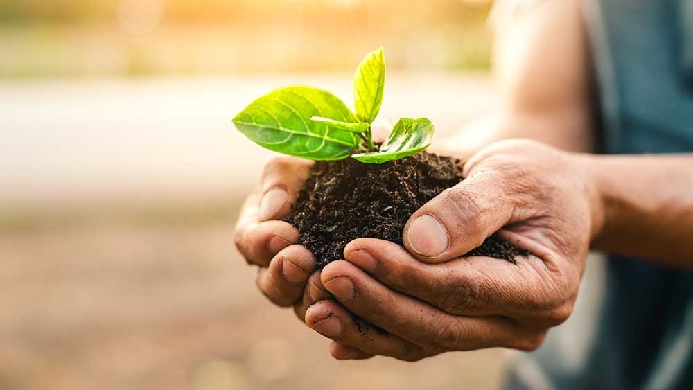 First mutual fund | How to select your first mutual fund? | Value Research