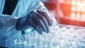 Laurus Labs Ltd. Share Price Today | Laurus Labs Live NSE/BSE